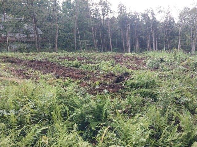 Ts Ttr Slope Rd And Traaack, Tolland, Plot For Sale