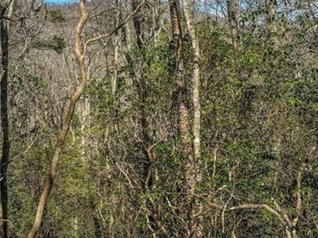 Ts Jarrard, Dahlonega, GA 30533