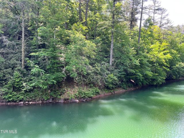 Tr1 Smith Hollow