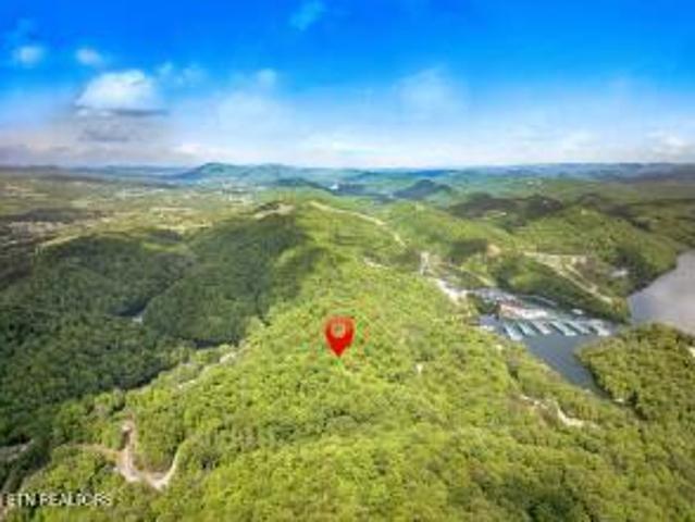Tr3 Mountain Shores Rd