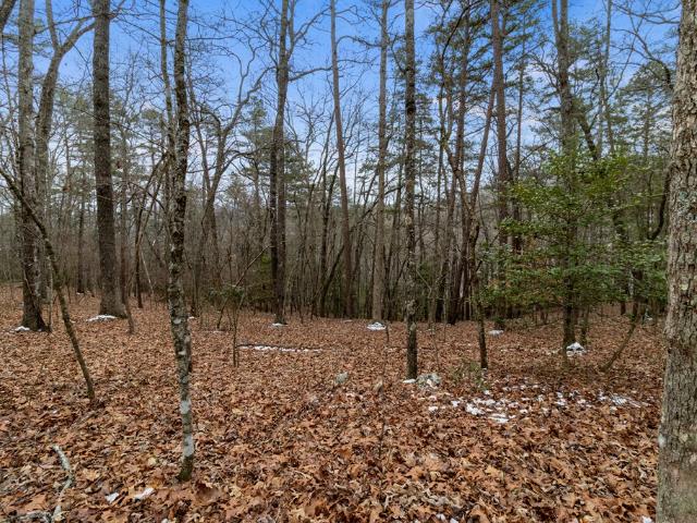 Tr4 Curtis Ridge, Blue Ridge, GA 30513 | MLS #424778