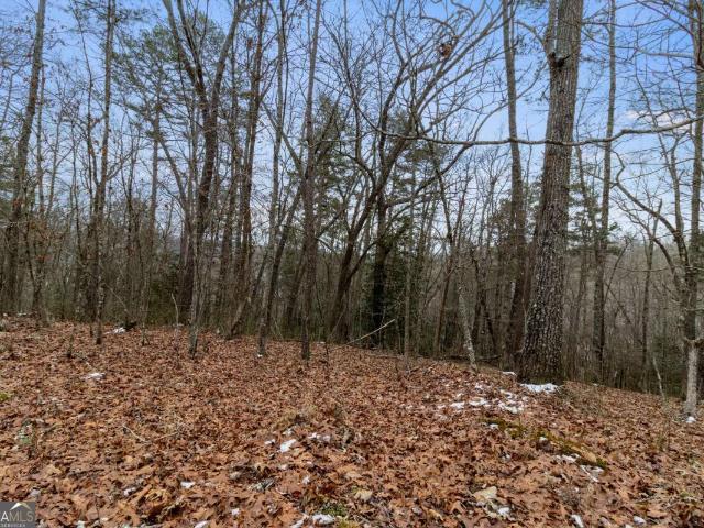 TR4 Curtis Ridge Road 4