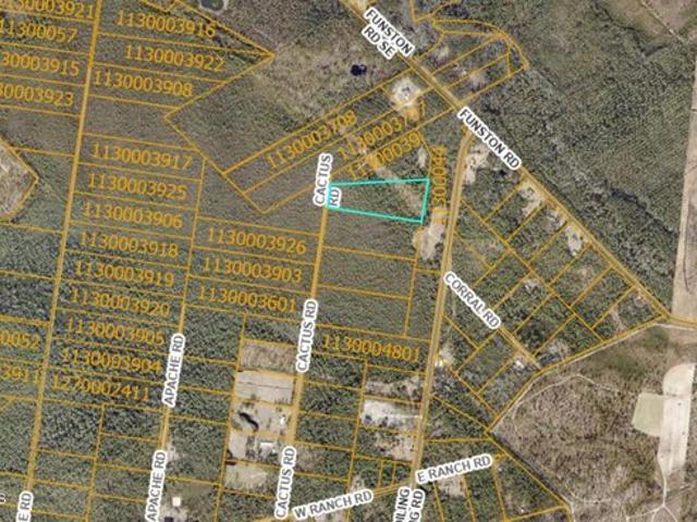 TR 48 Cactus Rd, Boiling Spring Lakes, NC 28461