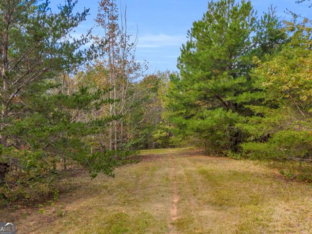 TR 6 Turner Road
