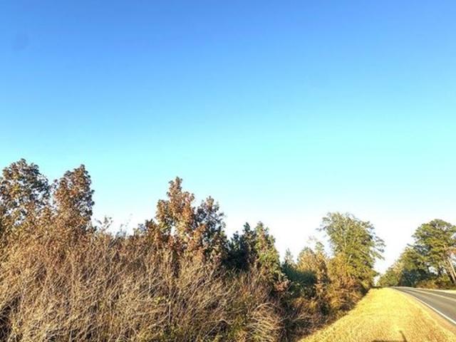 Tr 003 Highway 21E, Hemphill, TX 75948