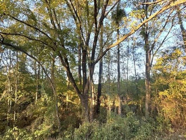 Tr 009 Highway 21E, Hemphill, TX 75948