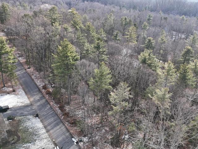 Tr 10 Mountain Laurel Court