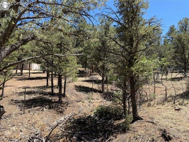 TR 136 16th Trl, Cotopaxi, CO 81223