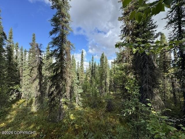 Tr 15 Funny River Rd, Soldotna, AK 99669