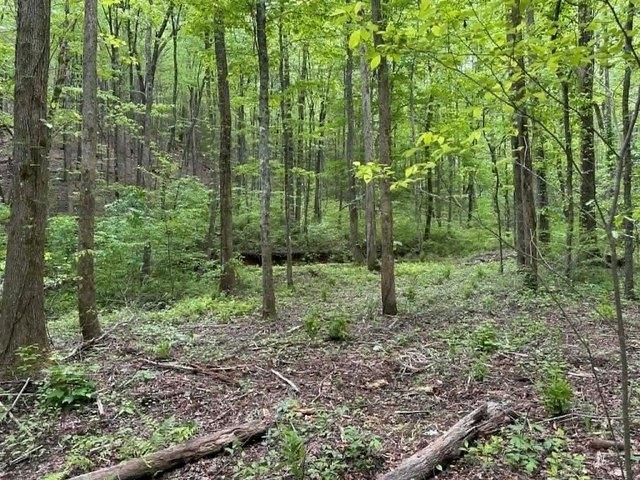 Tr 1 Pleasant Hill Trl Lot TR1, Ellijay, GA 30540