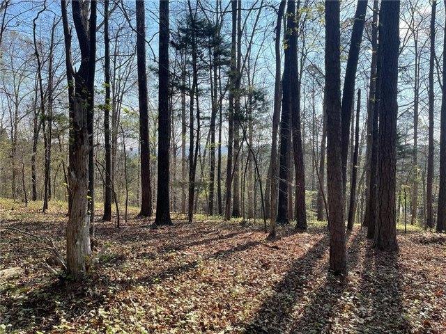 Tr 1B Chalcrest Way, Cave Spring, GA 30124