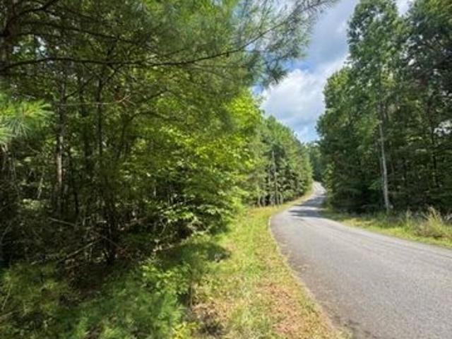 Tr # 3 and 4 Lakeland Dr, Ellijay, GA 30540