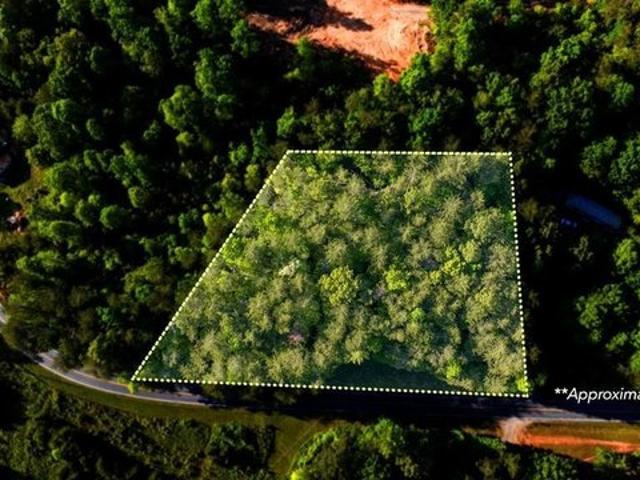 Tr 3 W Gum Log Rd, Warne, NC 28909