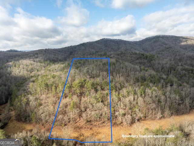 TR 3B Wolf Pen Gap Road