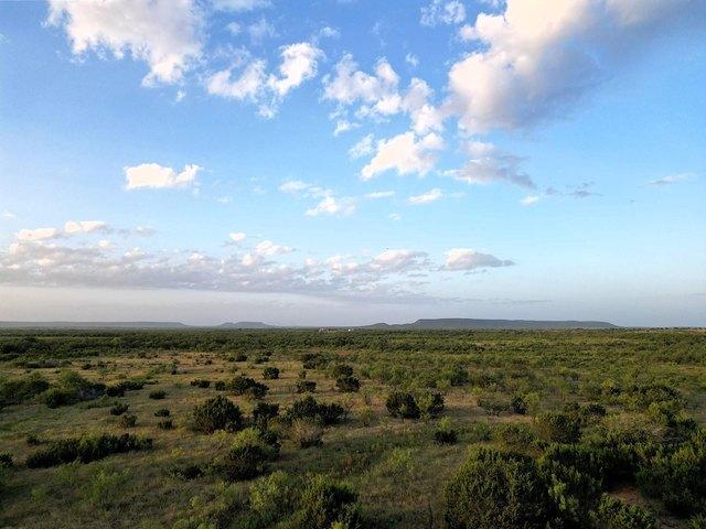 Tr # 3FM604, Ovalo, TX 79541