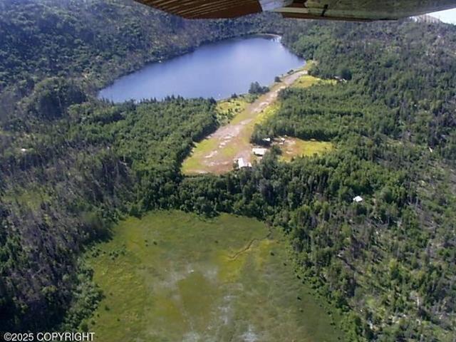 Tr A1 6 Pomeroy Rd, Homer, AK 99603