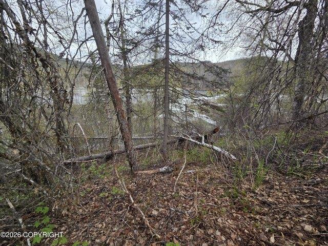 Tr A Asls # 84 130, Talkeetna, AK 99676
