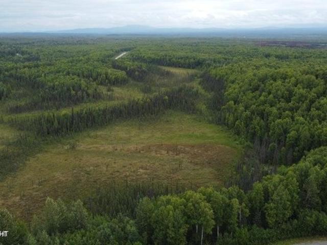 Tr A E Mount Snowshoe Dr, Talkeetna, AK 99676