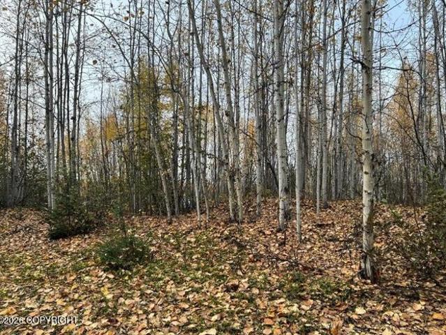 Tr A S Horseshoe Lake Rd, Big Lake, AK 99652