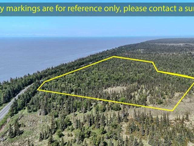 Tr D Cohoe Loop Rd, Kasilof, AK 99610