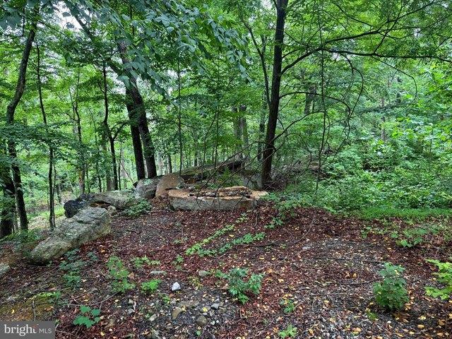 Tr D 15 Deer Path Rd, Augusta, WV 26704