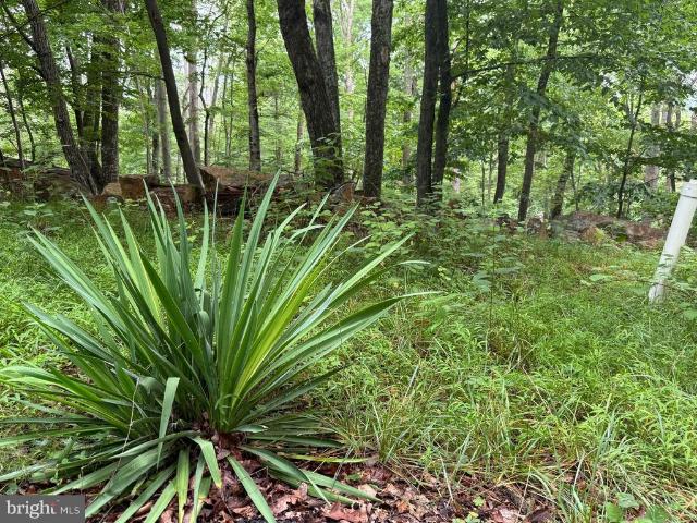 TR D 15 Deer Path Road
