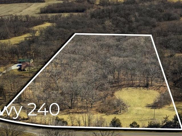 Tr, Rocheport, MO 65279