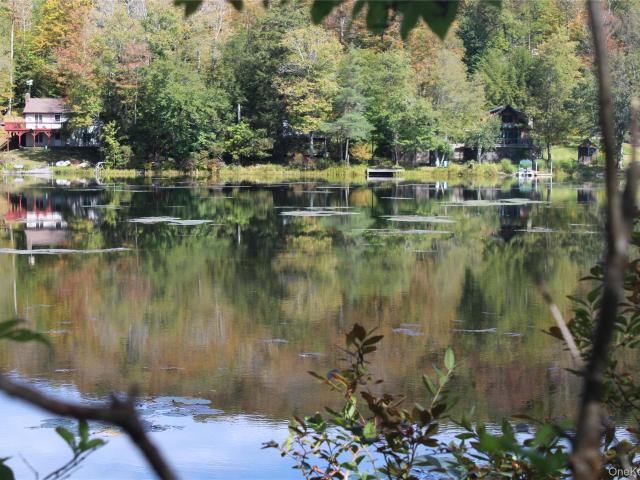 Trout Brook Rd, Fremont Center, NY 12736 | MLS #983521