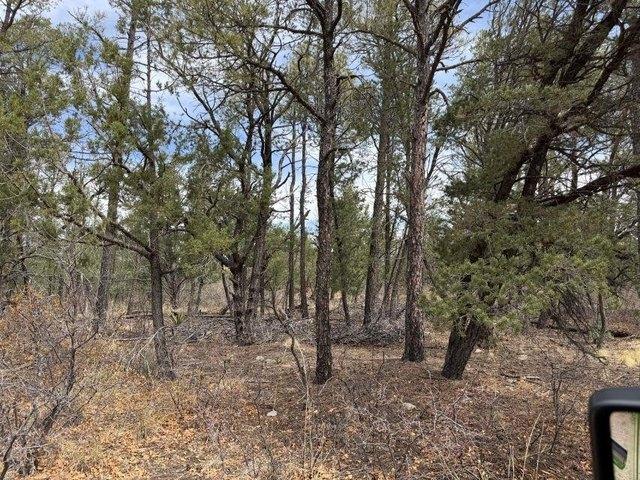 Trout Dr, Timberon, NM 88350