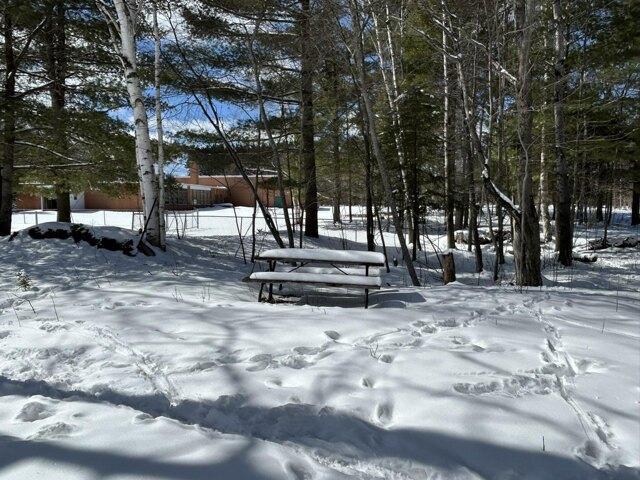 Trout Lake MI 49793 LS89589208