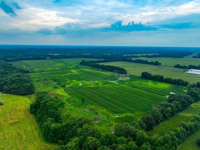 Trout Rd, Dexter, KY 42036