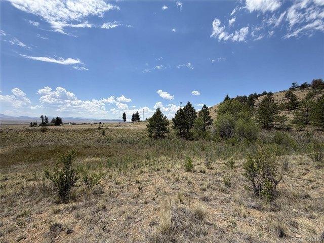 Trout St, Hartsel, CO 80449