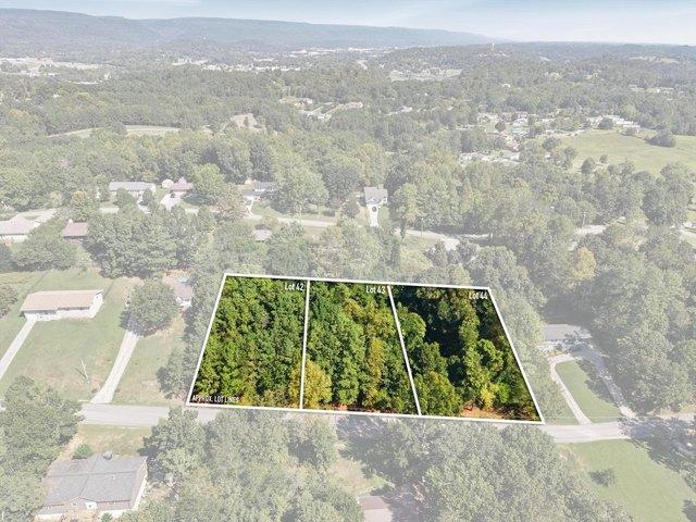 Troy Dr Lot 43, Dayton, TN 37321