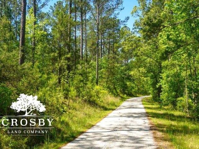 Troy SC 29848 103500935