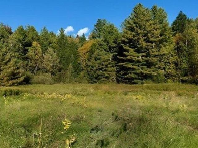 Troy VT 05859 104833122