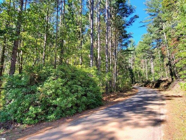 Travelers Rest SC 29690 93376141