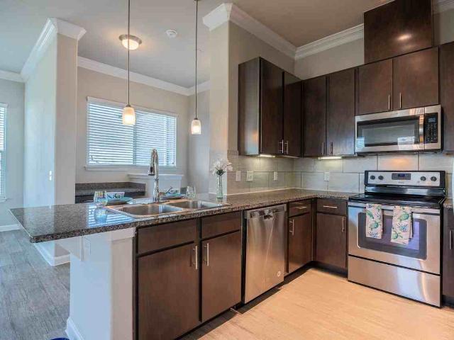 Travesia Apartments 2 Bedroom Apartment for Rent at 4301 Grand Avenue Pkwy, Austin, TX 78728
