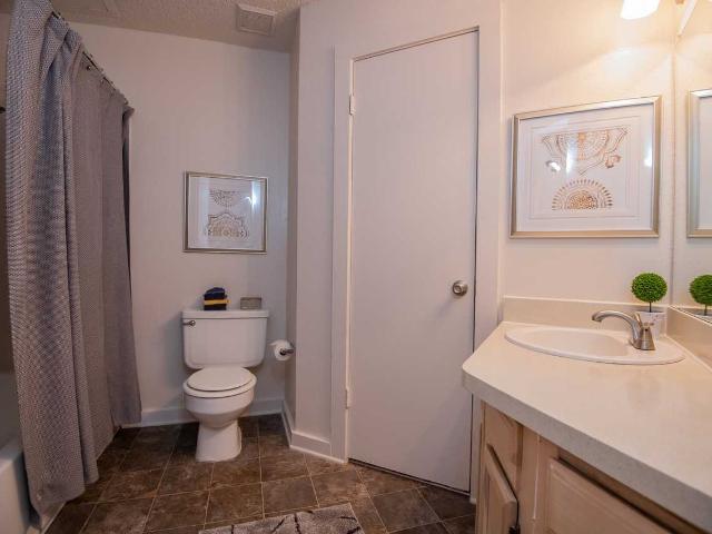 Trace Apts. 2 Bedroom Apartment for Rent at 340 Arbor Dr, Ridgeland, MS 39157