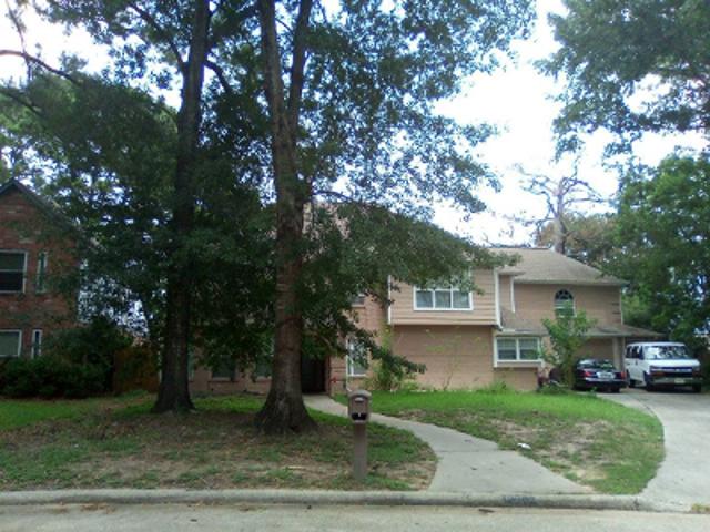 Trace Forest Dr