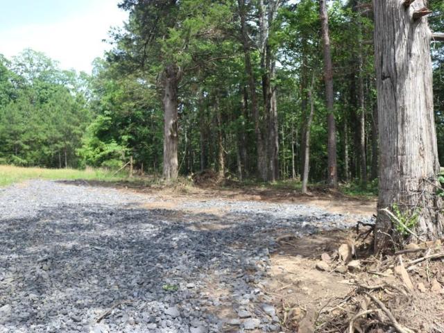 Tracewood Drive
