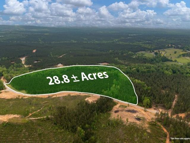 Track 17 Heritage Pines Way Lot 17, Columbiana, AL 35040