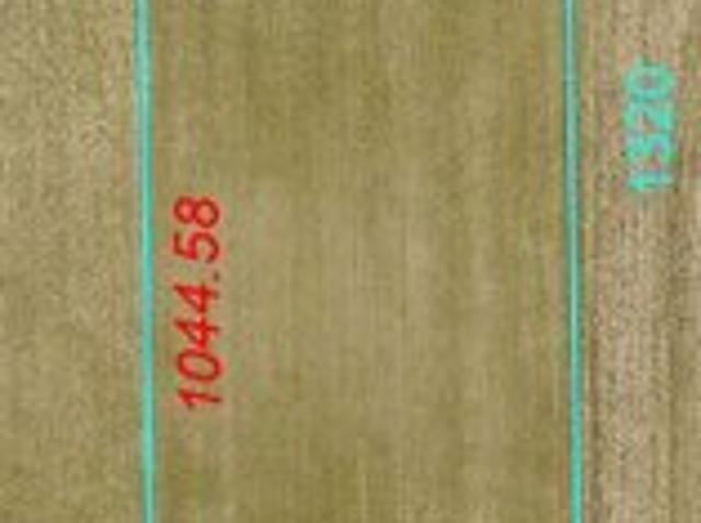 Track 1 Dredge Rd, Paw, IL 61353