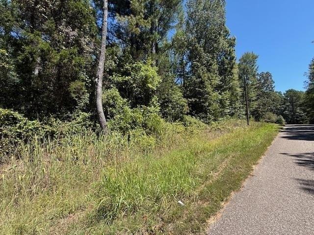 Track 2 Kendrick/Gin Rd, Michie, TN 38357