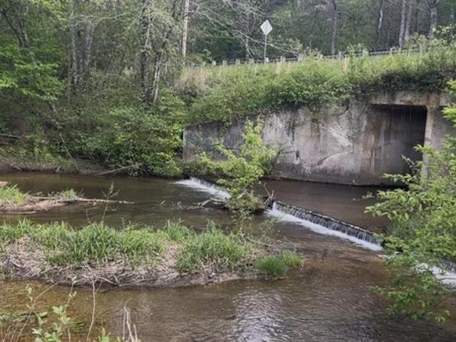 Track19a Highway 2 Lot 19A, Blue Ridge, GA 30513