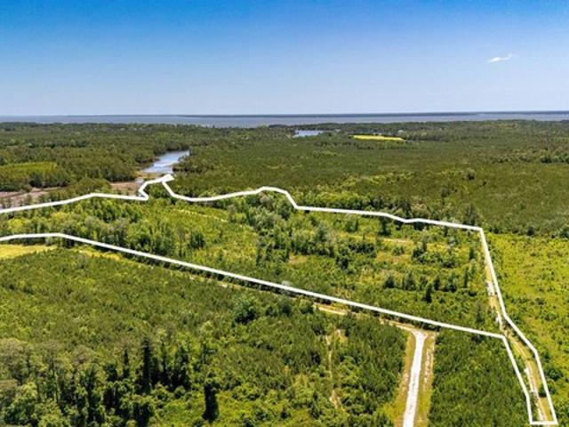 Tract1 and 2 Kershaw Rd, Oriental, NC 28571
