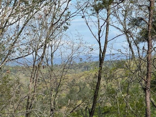 TRACT1 Panorama