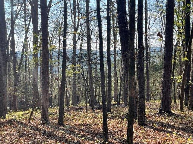 Tract1b Chalcrest 1B Way Lot Tract, Cave Spring, GA 30124