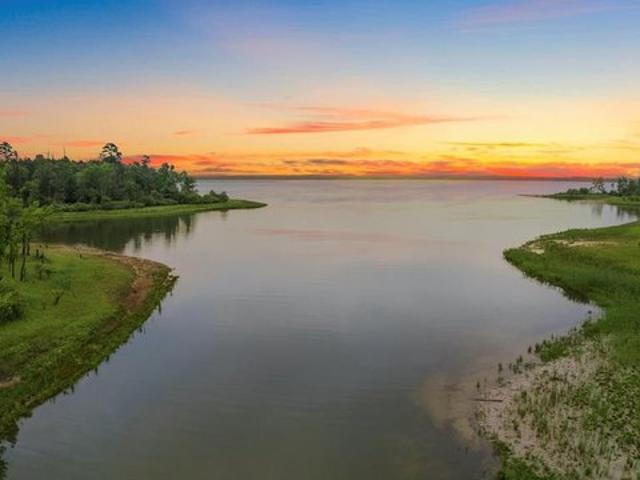 Tract 40 Private Road 8557, Broaddus, TX 75929
