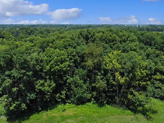 Tract 46 Stallard Springs/ Boots Ct