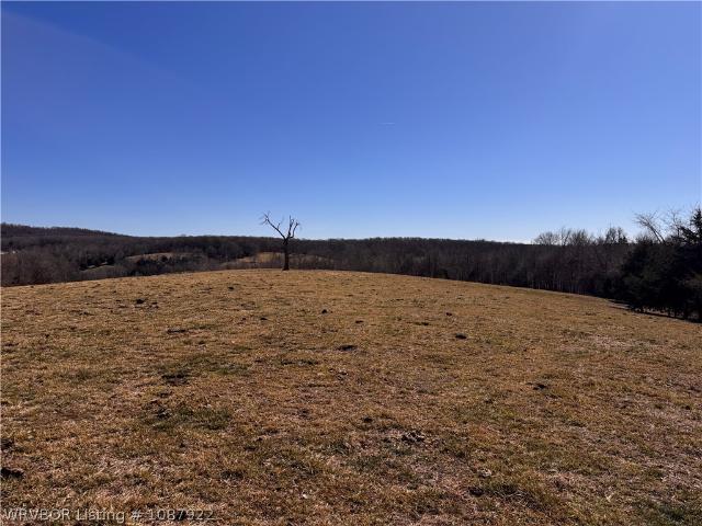 Tract 4 Madison 1490 Street